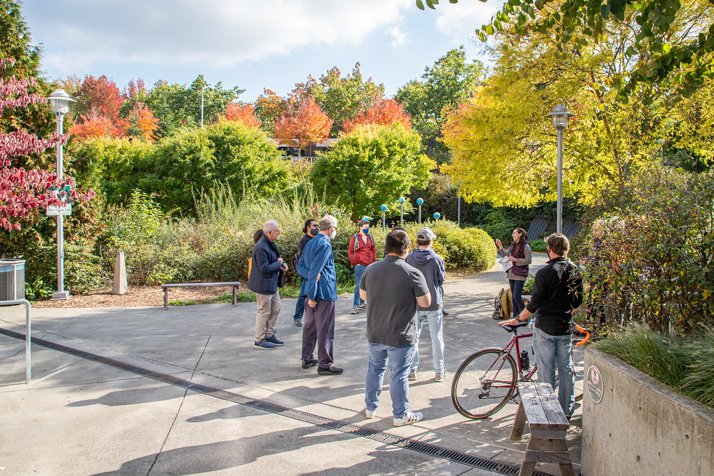 Executive Board to approve new equity committee roster | Puget Sound ...