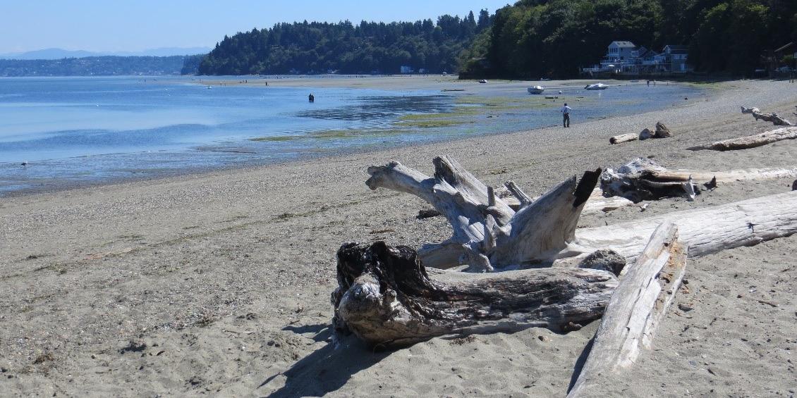 Restore Puget Sound | Puget Sound Regional Council