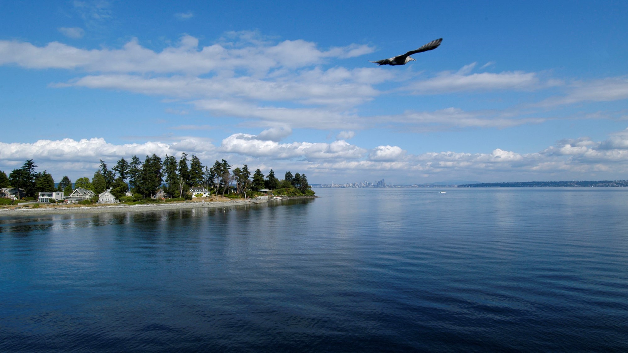 Puget Sound Recovery | Puget Sound Regional Council