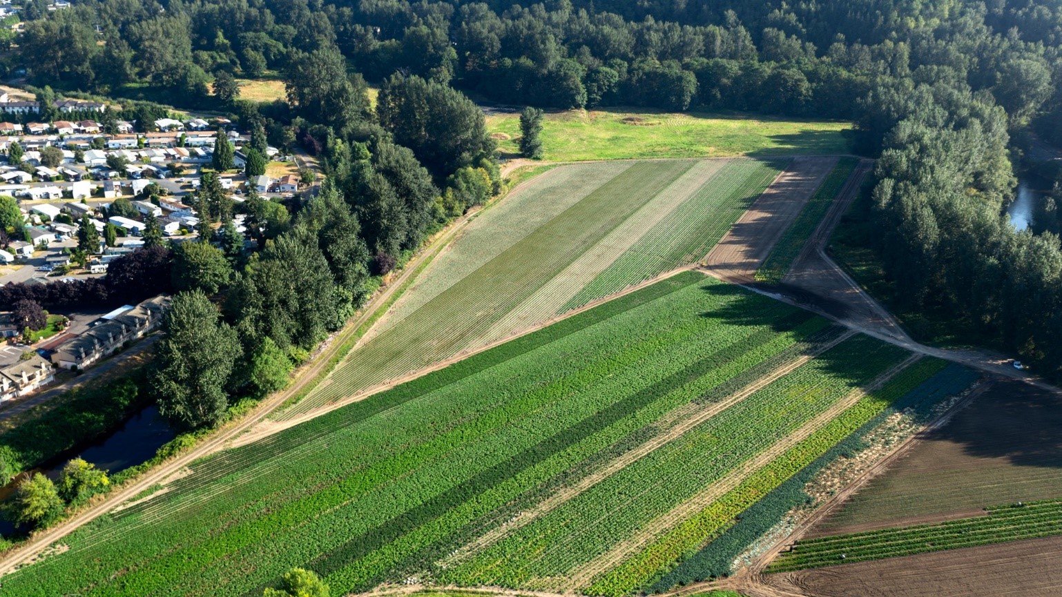 Public Hearing on the Draft VISION 2050 Plan | Puget Sound Regional Council