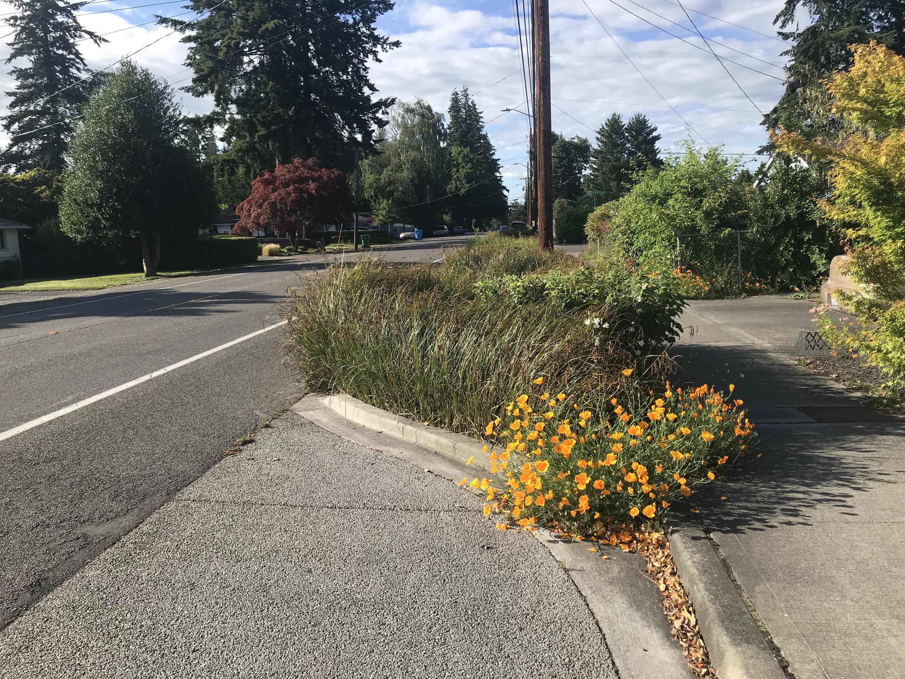 Building Green Cities | Puget Sound Regional Council