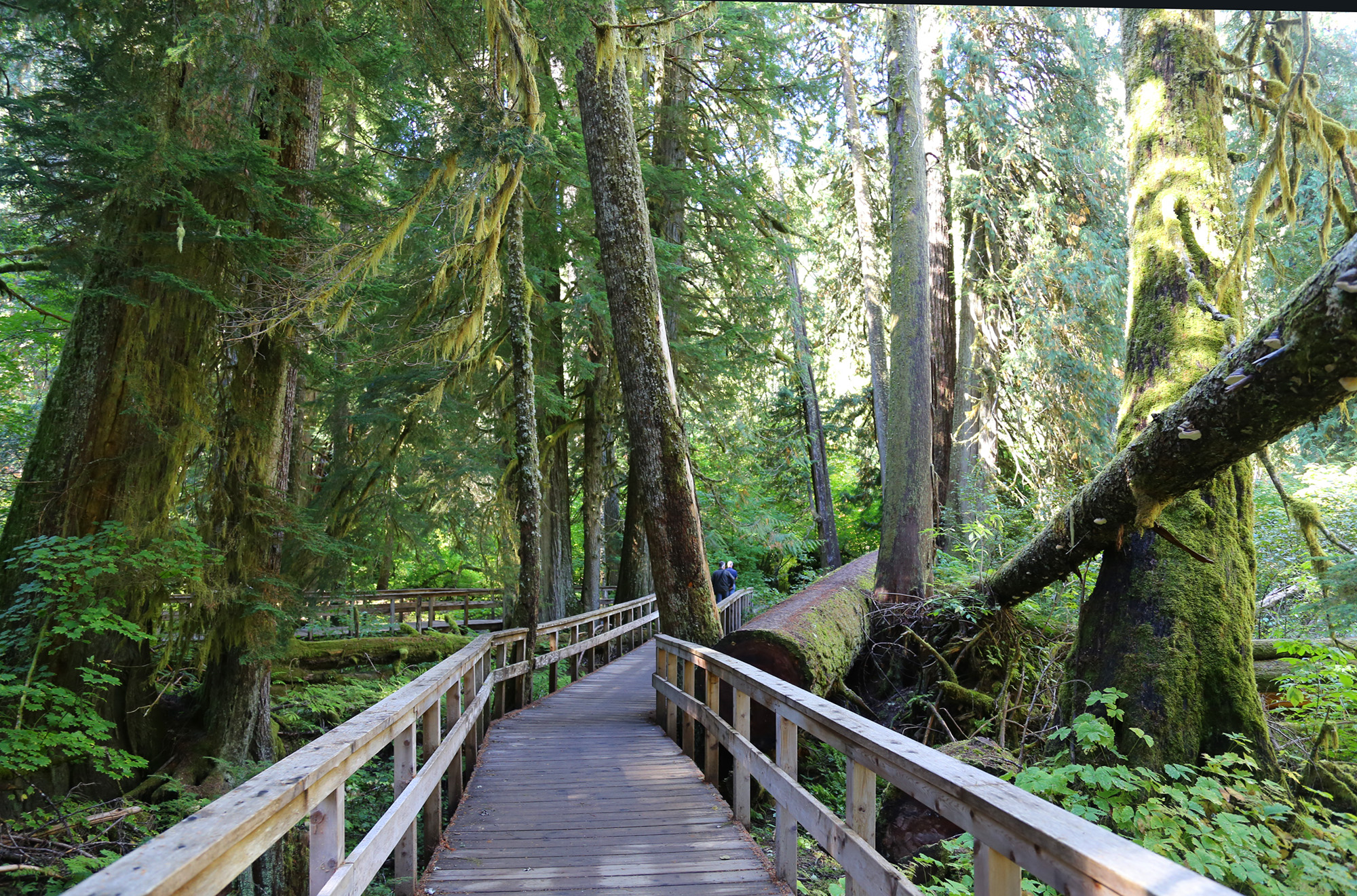 Regional Open Space Conservation Plan | Puget Sound Regional Council