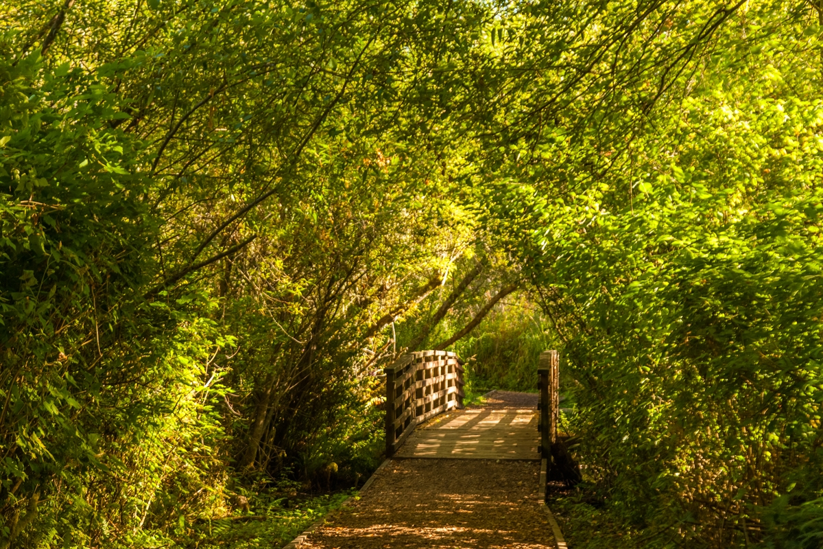 New Regional Transportation Improvement Program | Puget Sound Regional ...