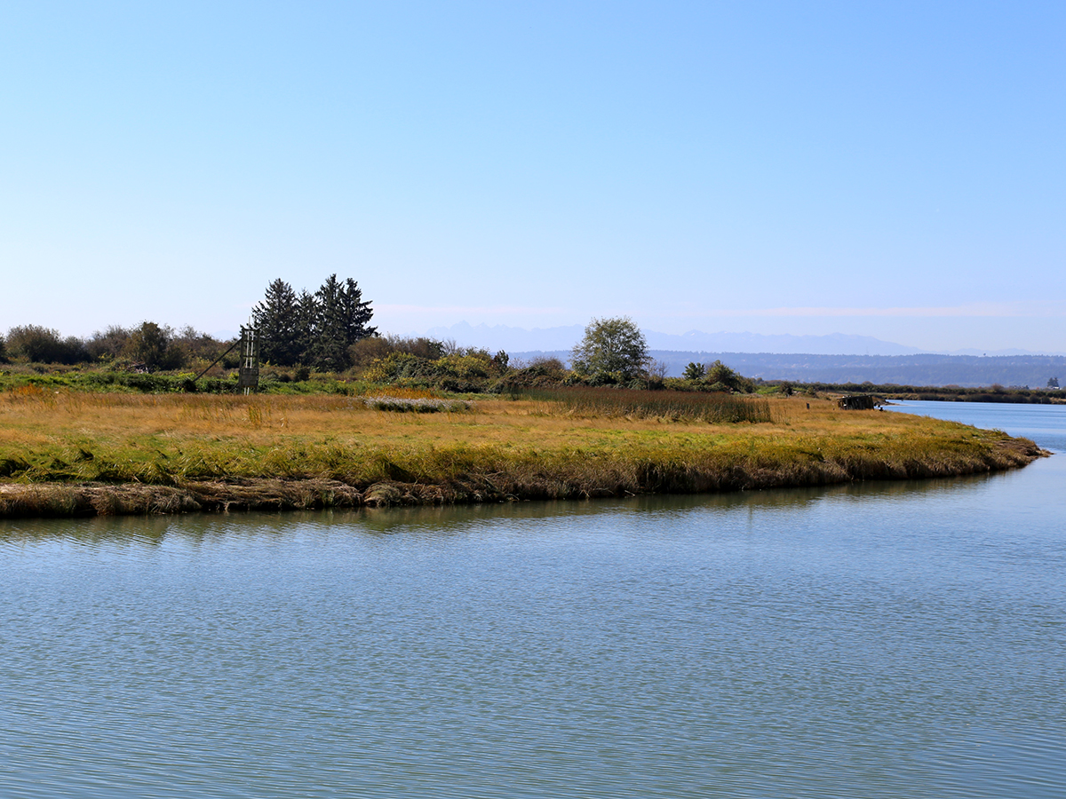 Critical areas monitoring | Puget Sound Regional Council