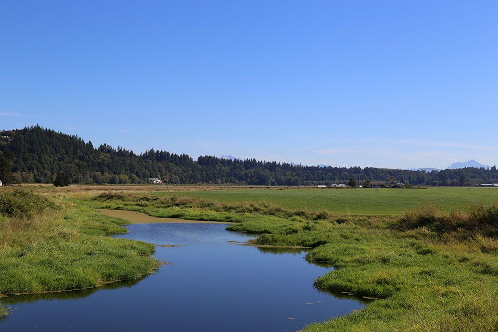 Region getting ready for 2050 | Puget Sound Regional Council