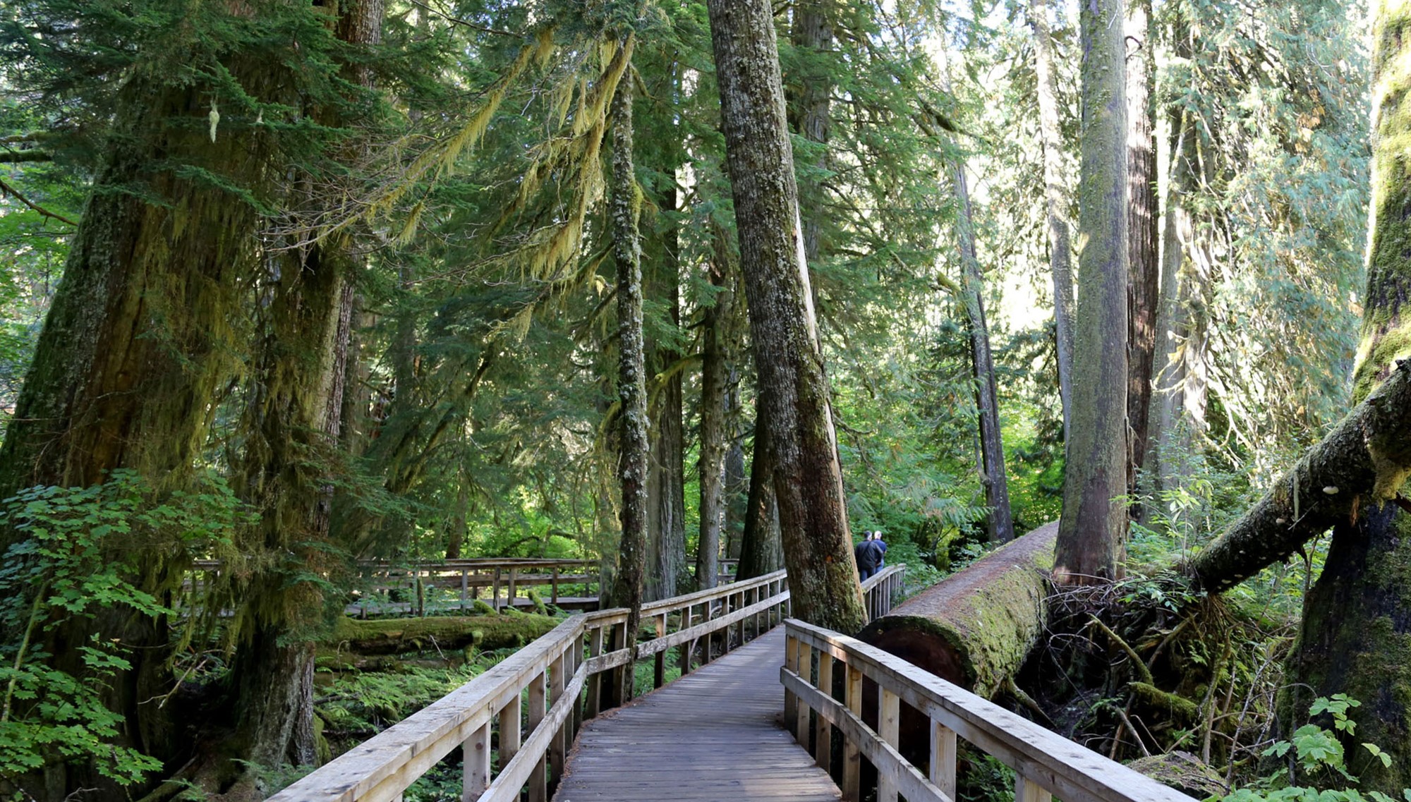 Environment | Puget Sound Regional Council