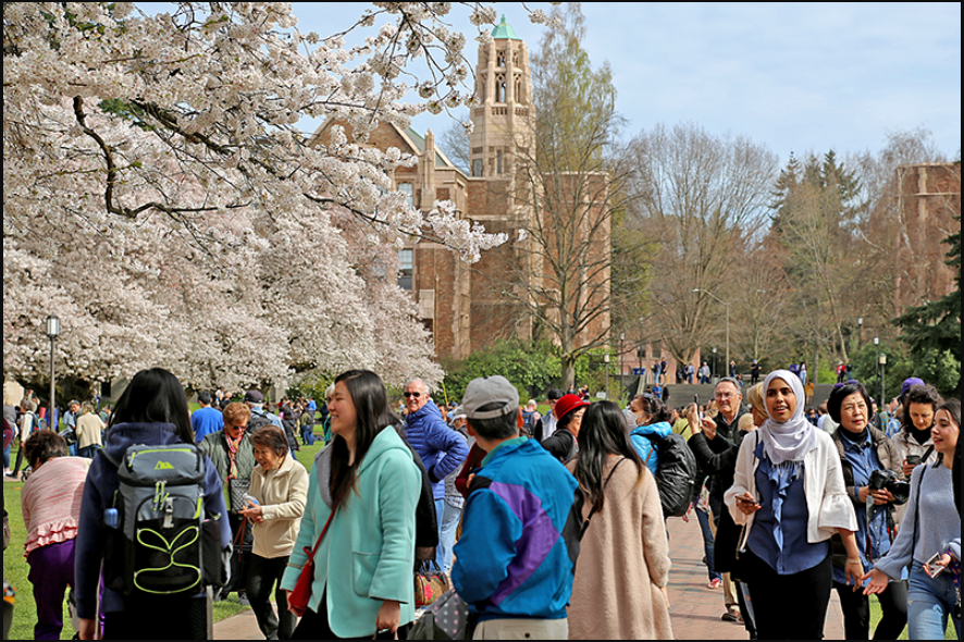 Understanding displacement of current residents as the region grows ...