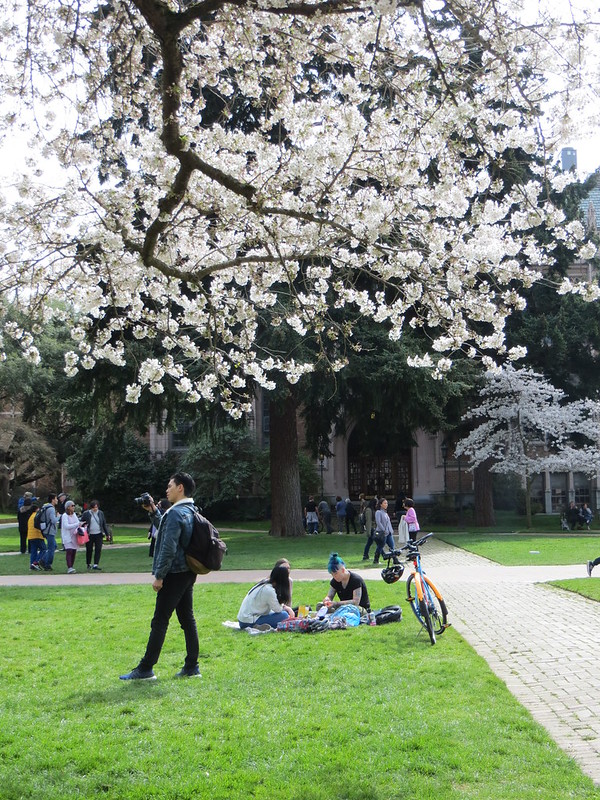 Ability to telework mixed for Asian American and Pacific Islander ...